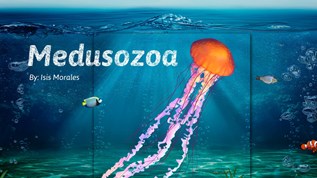 Medusozoa at emaze Presentation
