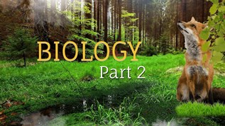 Biology Part 2 at emaze Presentation