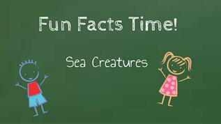 Fun Facts Time! at emaze Presentation