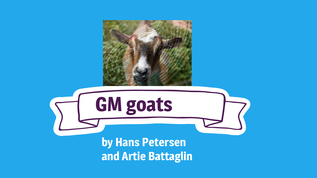gm goats at emaze Presentation