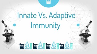 Innate Vs. Adaptive at emaze Presentation