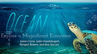 Ocean Biome Research Project at emaze Presentation