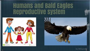 Humans and Bald Eagles at emaze Presentation