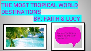 The most tropical at emaze Presentation