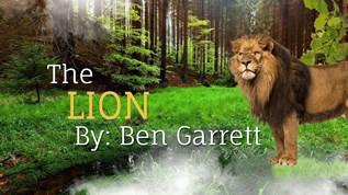 Untitled at emaze Presentation