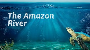 The Amazon River at emaze Presentation
