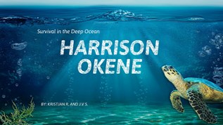 Harrison Okene at emaze Presentation