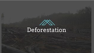 Deforestation at emaze Presentation