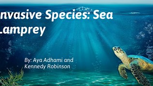 Invasive Species: Sea Lamprey at emaze Presentation