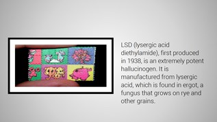 Functional fitness at emaze Presentation