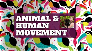 animal & human movement at emaze Presentation