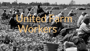 United Farm Workers at emaze Presentation