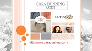 Illustrator Chicago at emaze Presentation