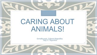 Caring about animals! at emaze Presentation