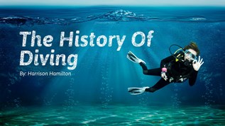 The History Of Diving at emaze Presentation