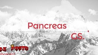 Pancreas Gland at emaze Presentation