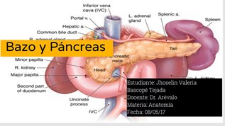 Bazo y pancreas at emaze Presentation