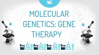 molecular genetics unit task at emaze Presentation