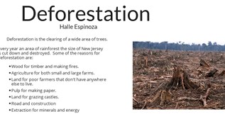 Deforestation at emaze Presentation