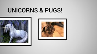 Unicorns & Pugs! at emaze Presentation