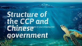 Structure of the CCP at emaze Presentation