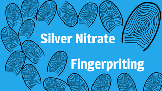 Silver nitrate fingerprinting at emaze Presentation