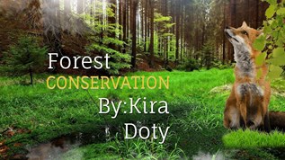 Forest Conservation at emaze Presentation