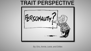 Trait Perspective at emaze Presentation