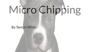 Micro Chipping at emaze Presentation