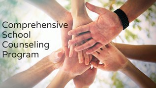 Comprehensive School Counseling Program at emaze Presentation