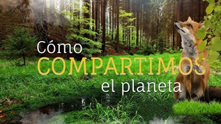 cómo compartimos el planeta at emaze Presentation