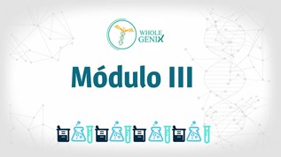 Módulo III at emaze Presentation