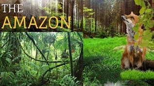 AMAZON at emaze Presentation