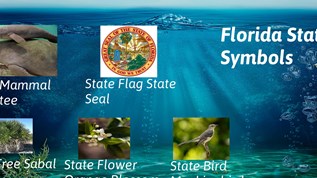 State SymbolsState at emaze Presentation