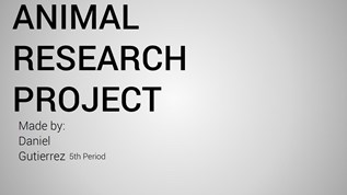 Animal research at emaze Presentation