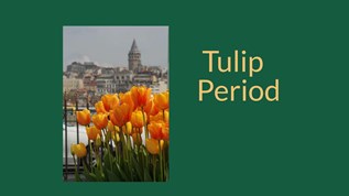 Tulip Period at emaze Presentation