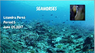 kemper project at emaze Presentation