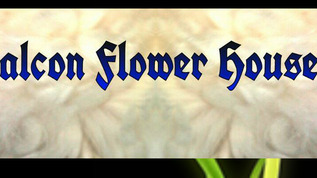 Falcon flower house at emaze Presentation