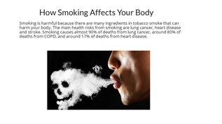 How Smoking Affects Your Body at emaze Presentation
