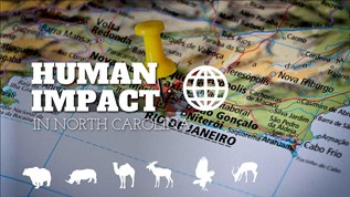 Human Impact at emaze Presentation