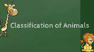 Classification of at emaze Presentation