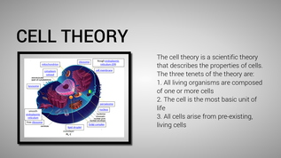 Cell theory at emaze Presentation