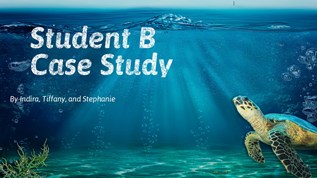 Student B Case Study at emaze Presentation