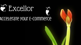 Excellor at emaze Presentation