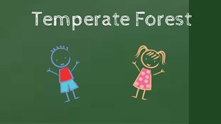 Temperate Forest at emaze Presentation