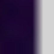 The snow leopard at emaze Presentation